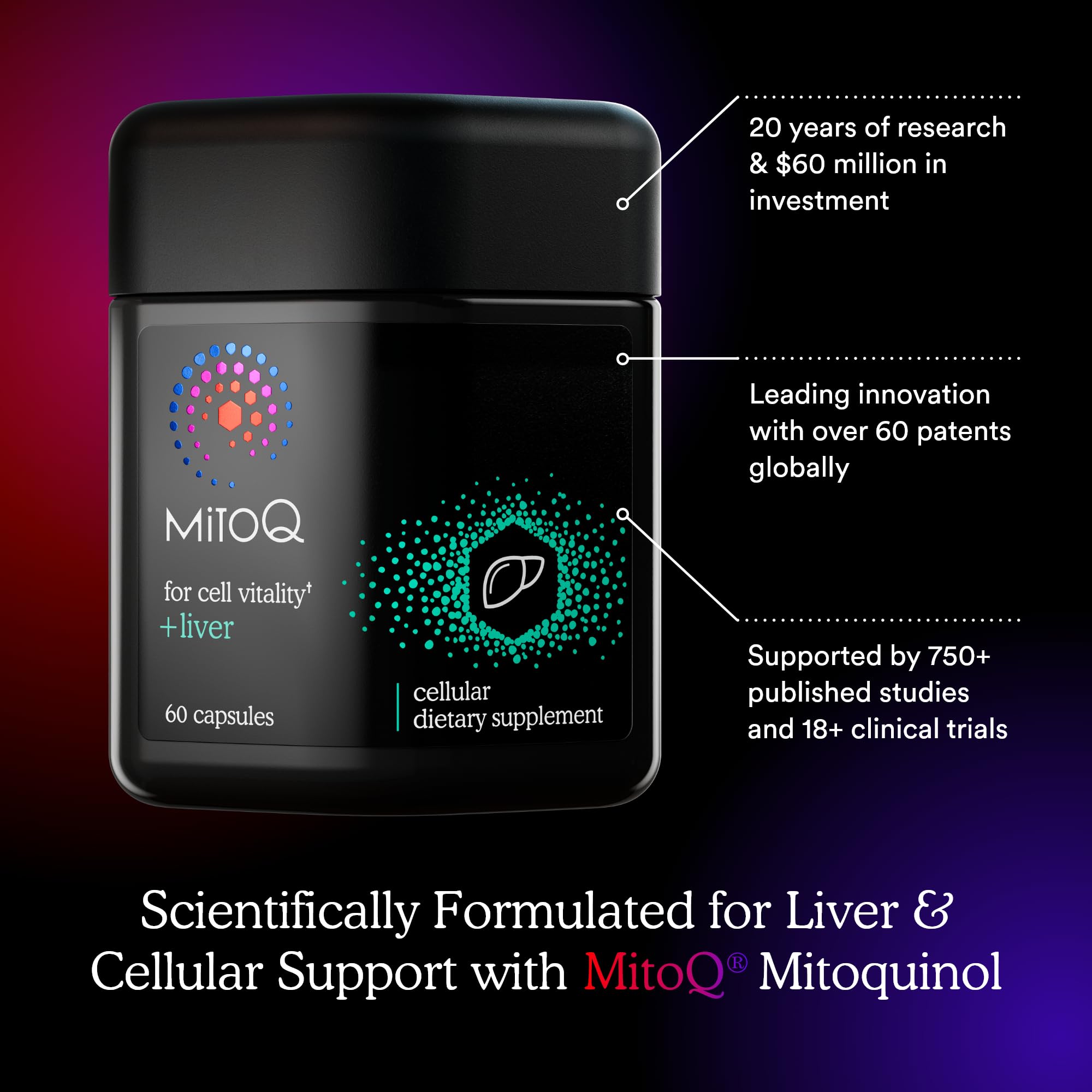 support liver function with milk thistle