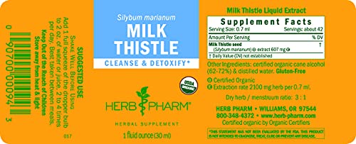 support liver function with milk thistle