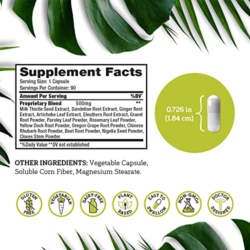 support liver function with milk thistle