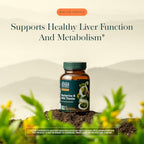 support liver function with milk thistle