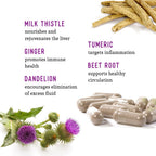 support liver function with milk thistle