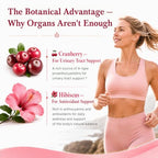 support liver function with Morivex