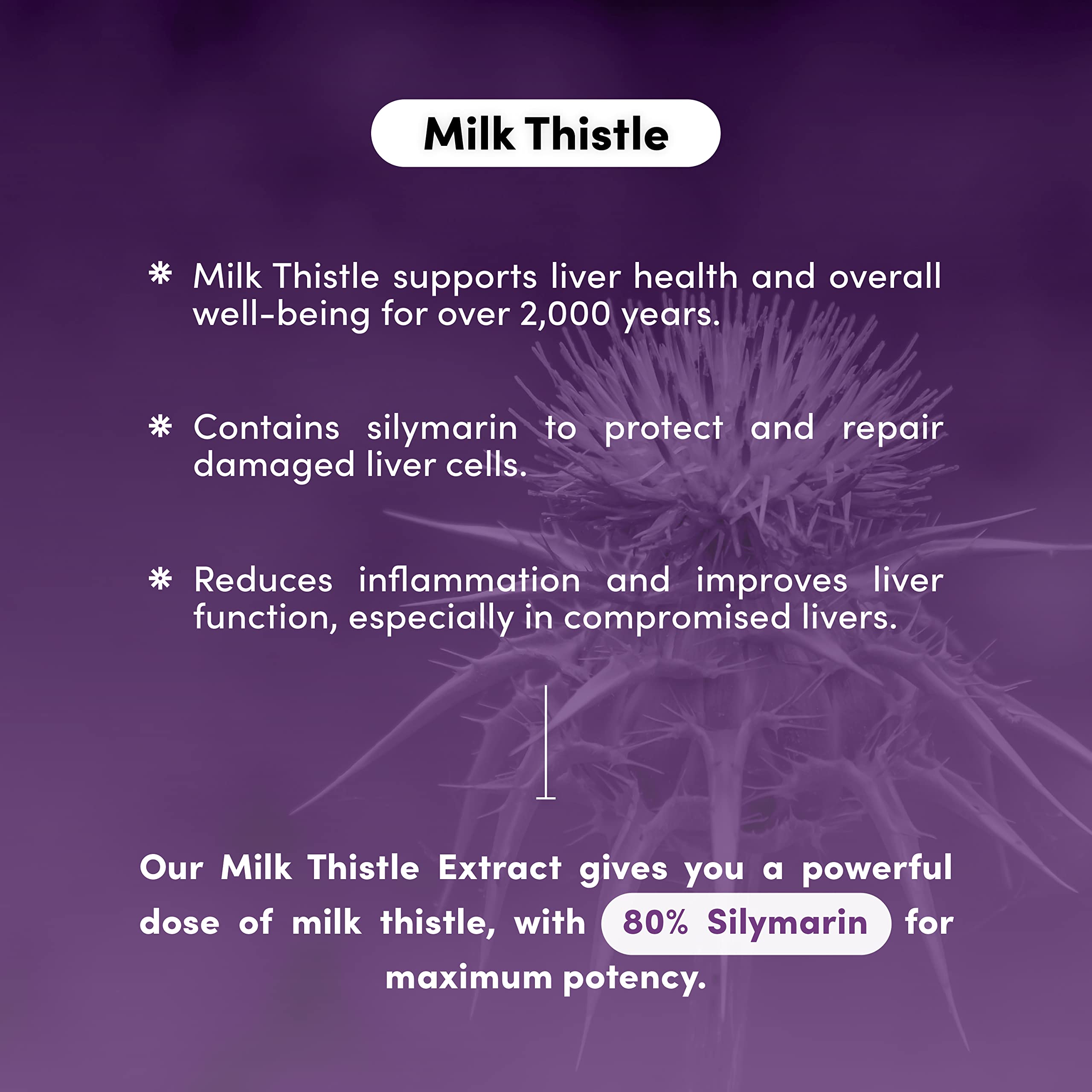 Support liver function with silymarin