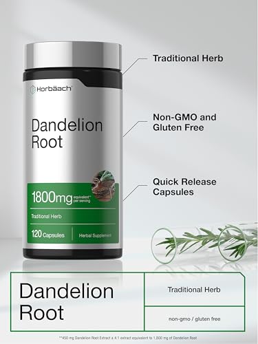 support liver health naturally