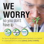 support liver health with dandelion