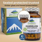 support liver health with dandelion