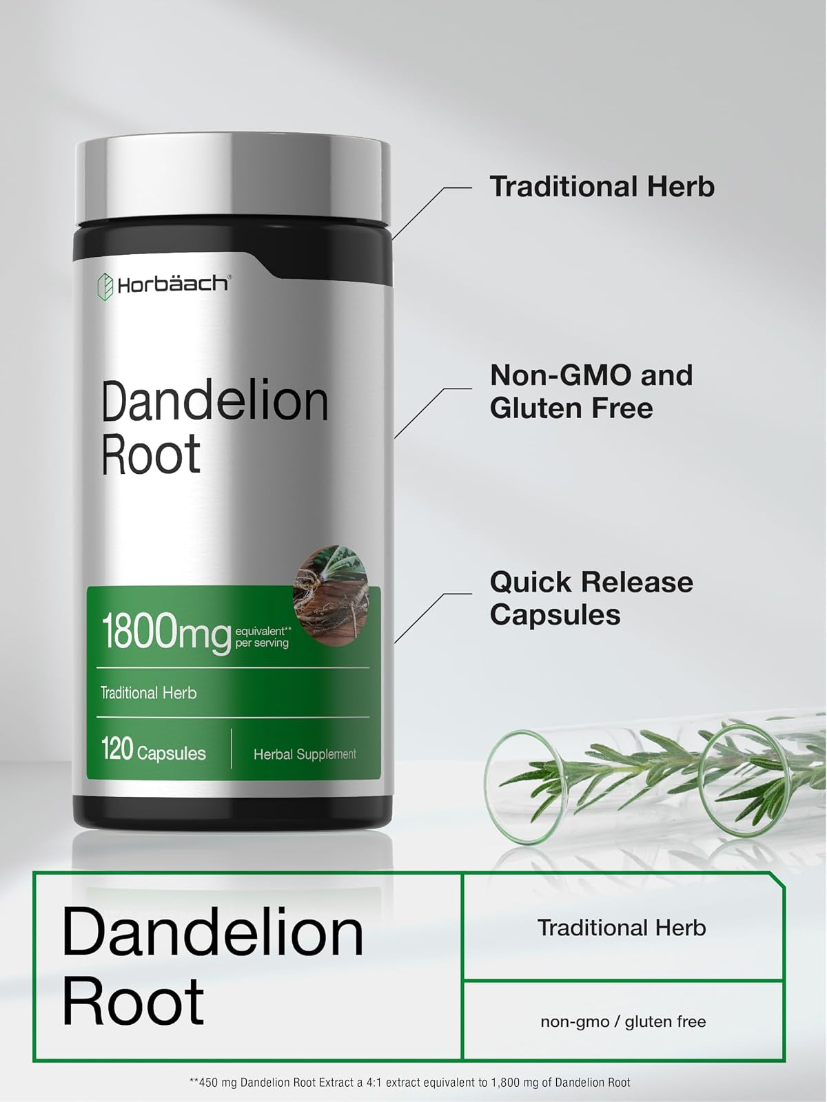 support liver health with dandelion