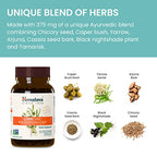 support liver health with milk thistle