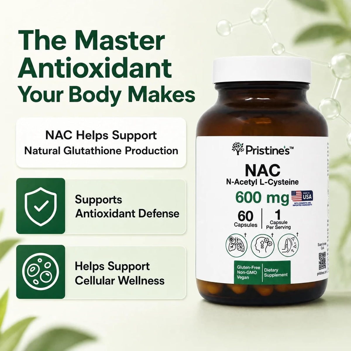 support liver health with N-Acetyl Cysteine