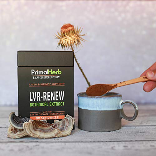 support liver wellness with herbs