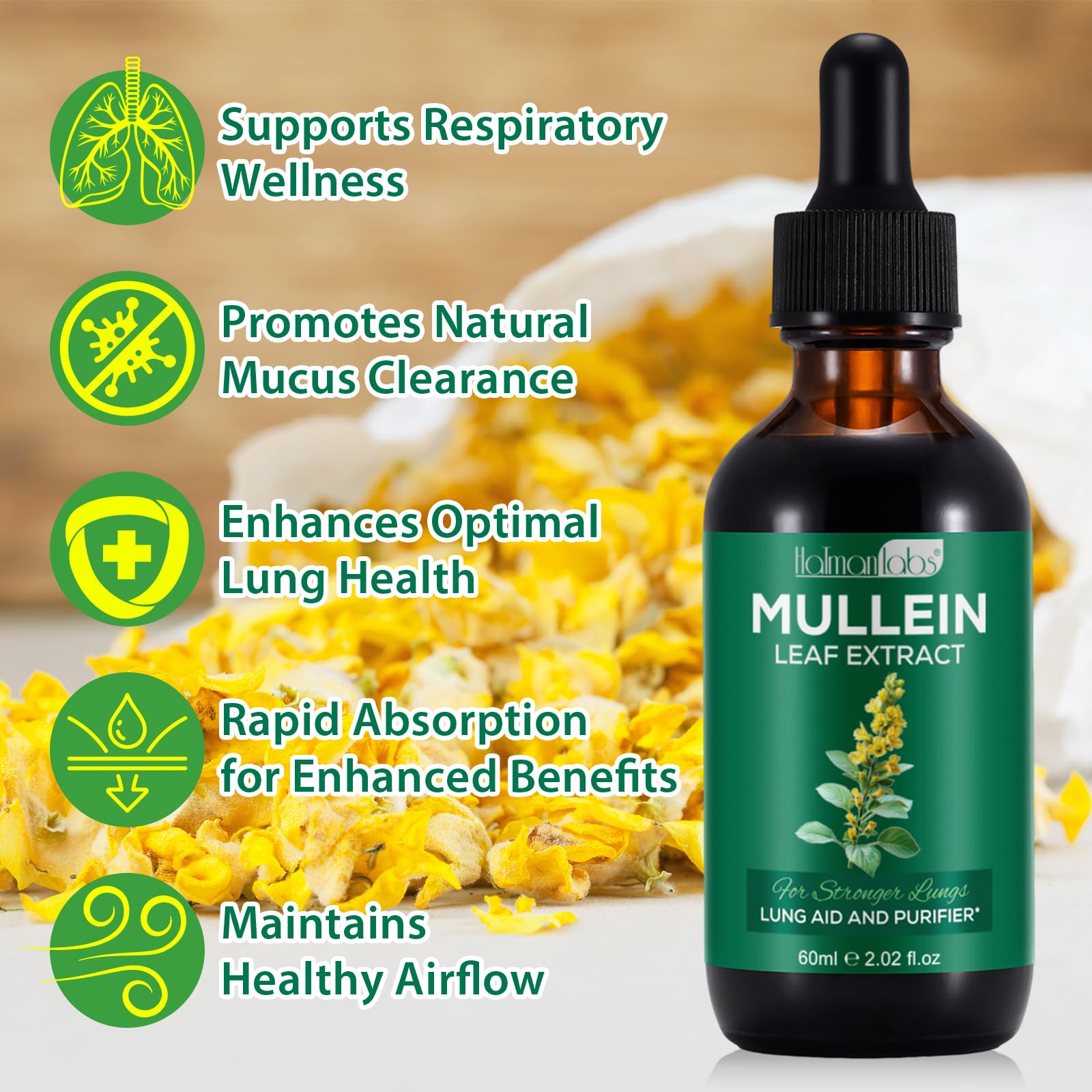 support lung function with mullein