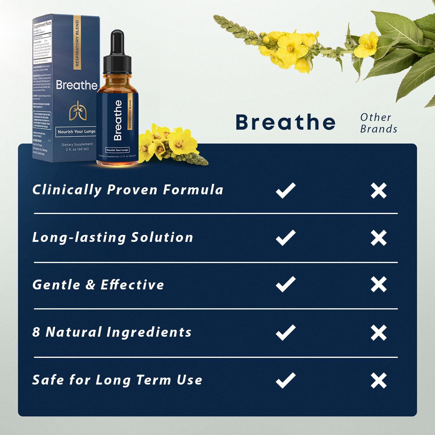 support lung function with mullein