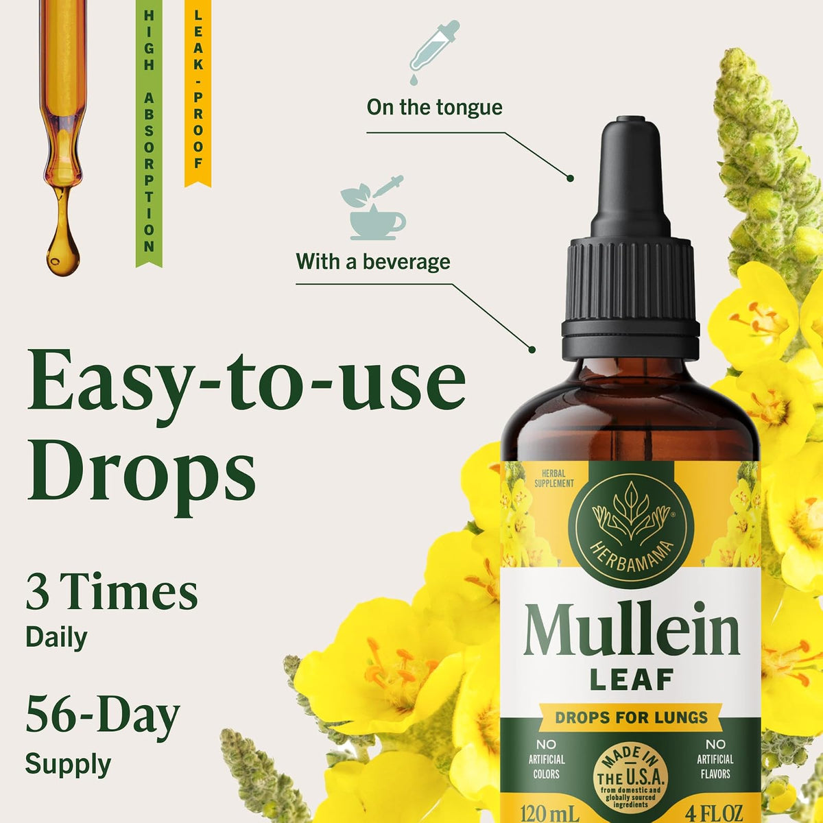 Support lung function with Mullein