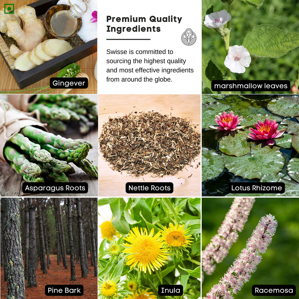 support lung function with nettle