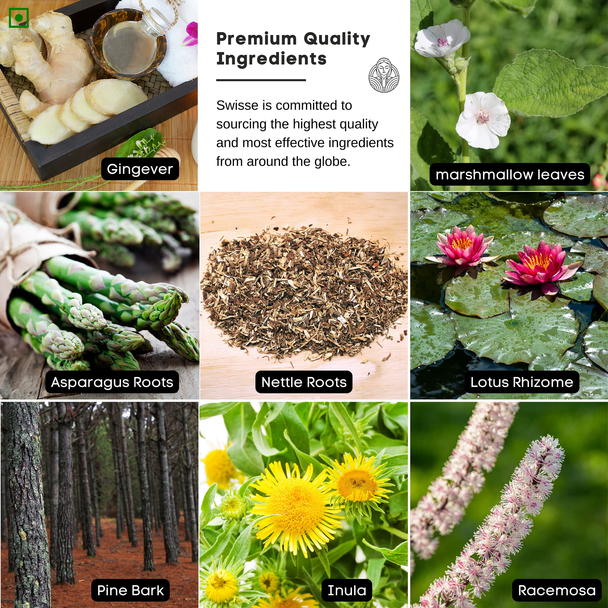 support lung function with nettle