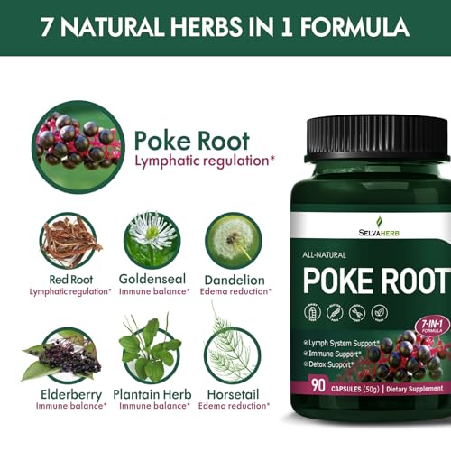 support lymph system with herbal supplements