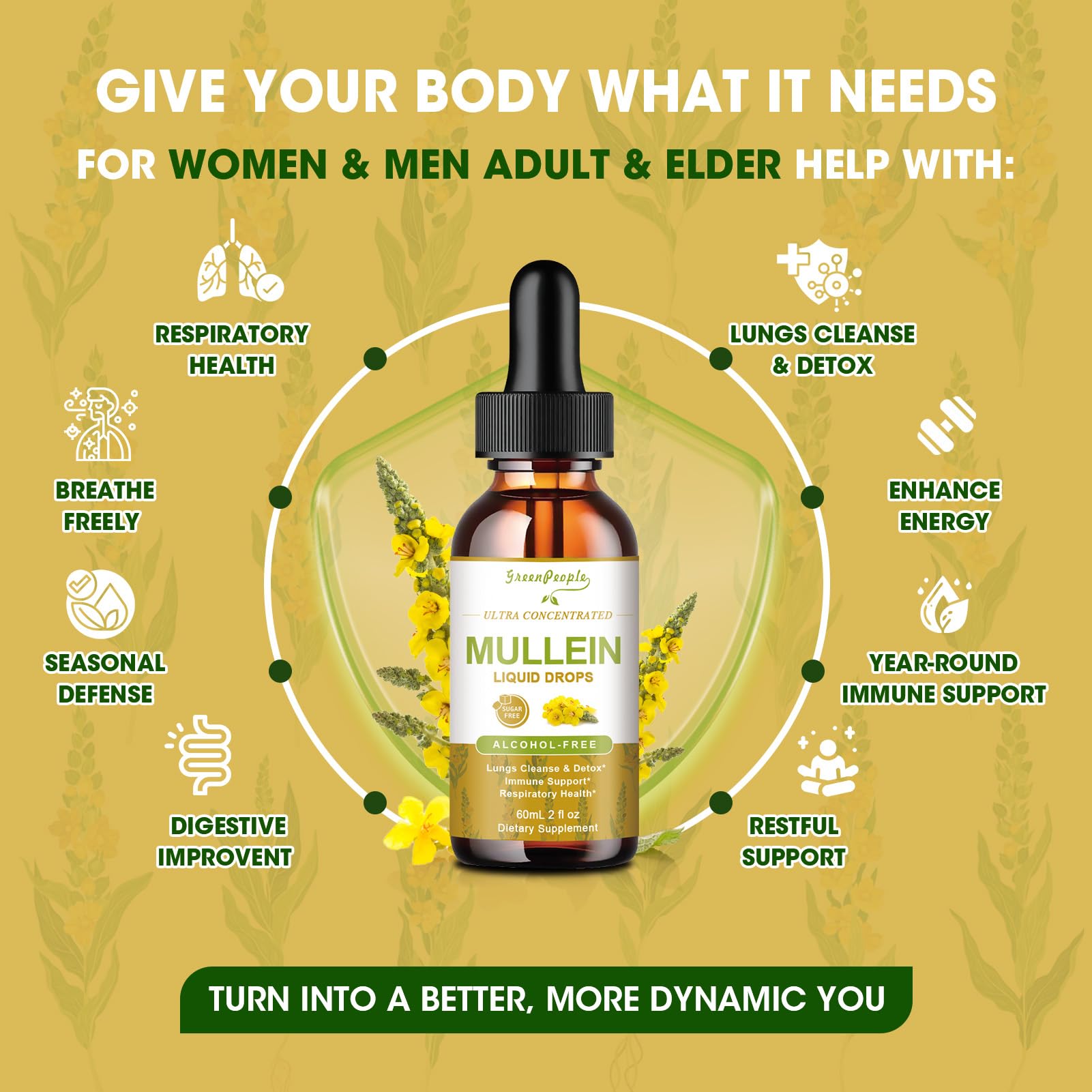 support lymphatic drainage with mullein