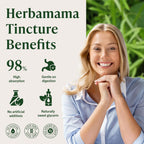 support lymphatic health with Cleavers