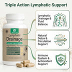 support lymphatic system function