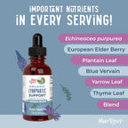 support lymphatic system naturally