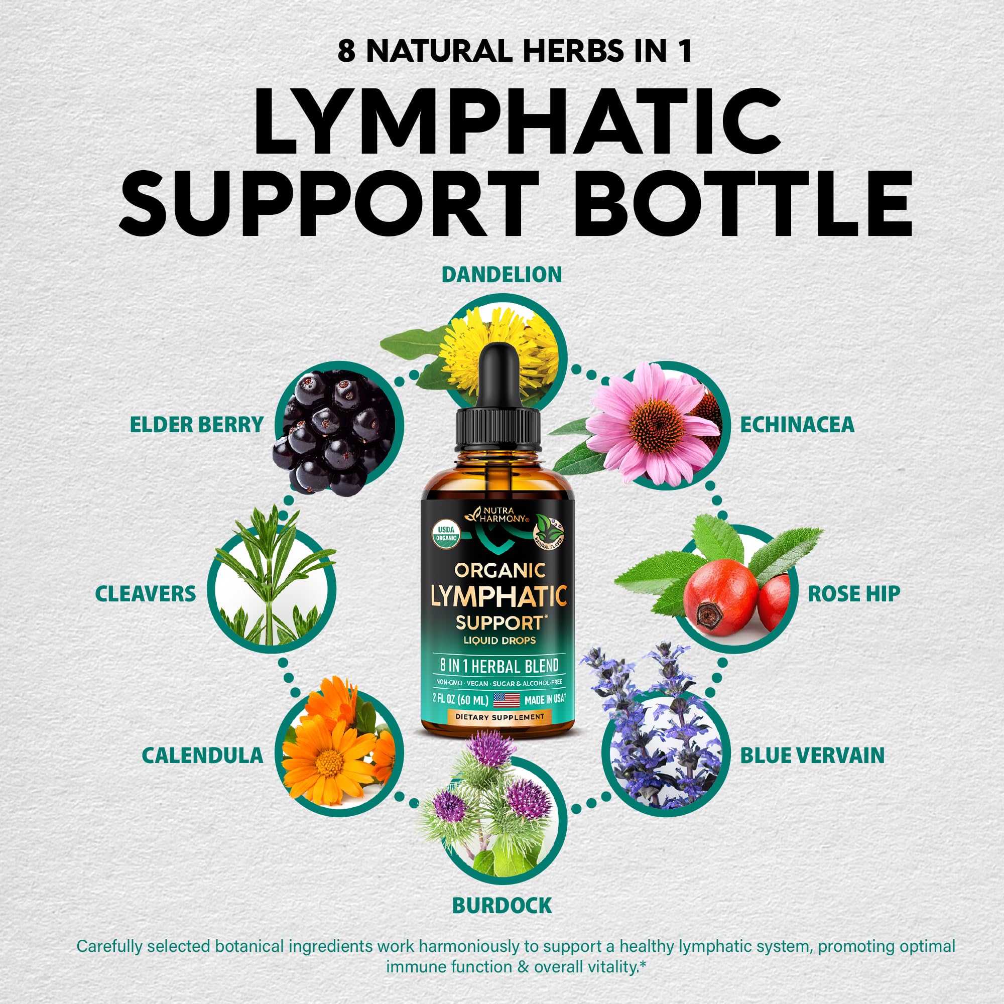 support lymphatic system naturally