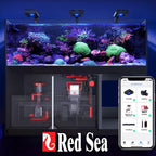 Support marine life with strontium
