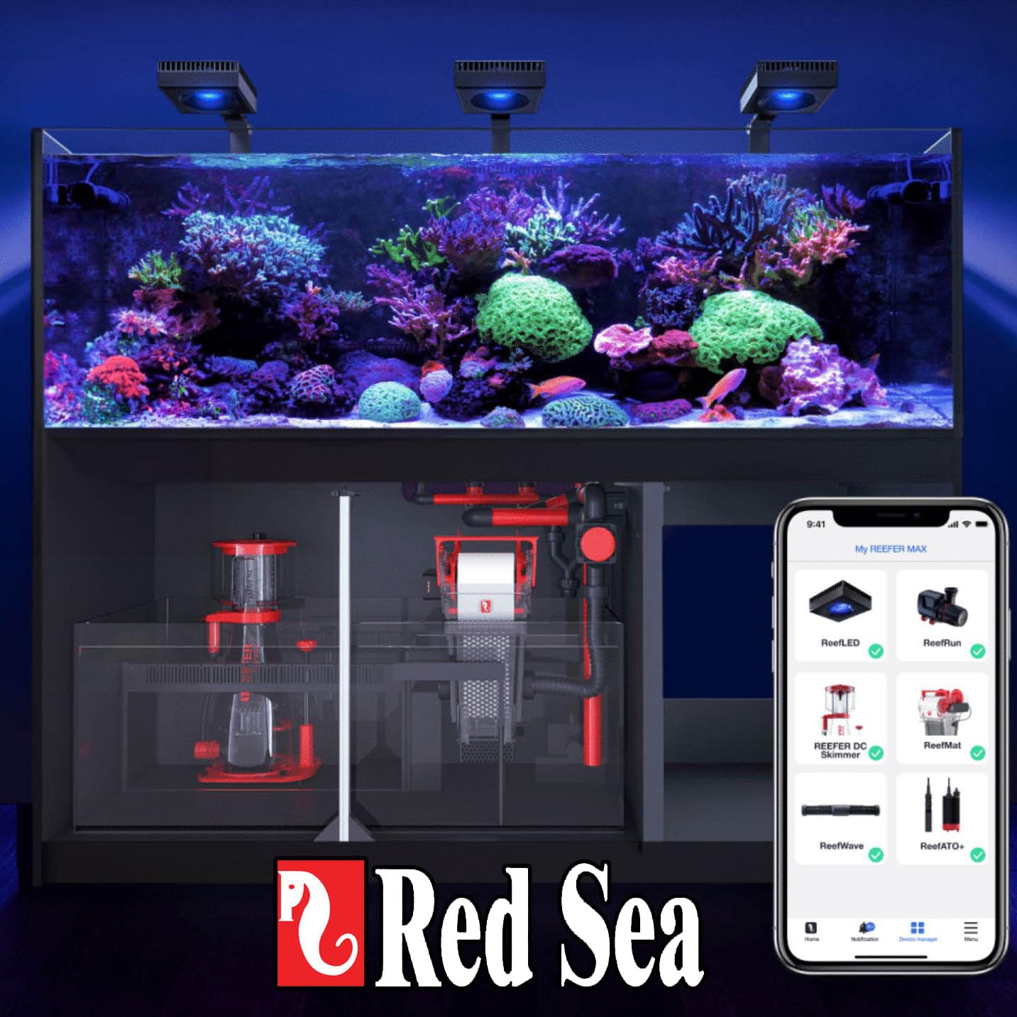 Support marine life with strontium