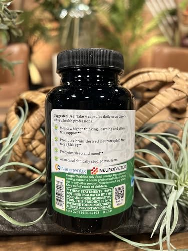 support memory and focus with vitamins