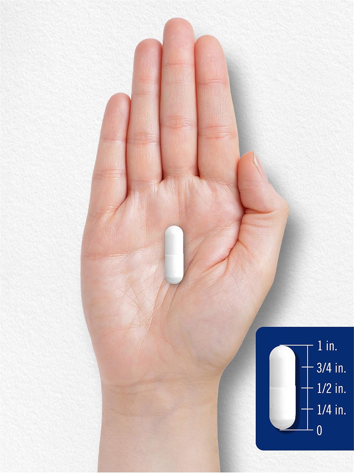 Support memory function with Citicoline