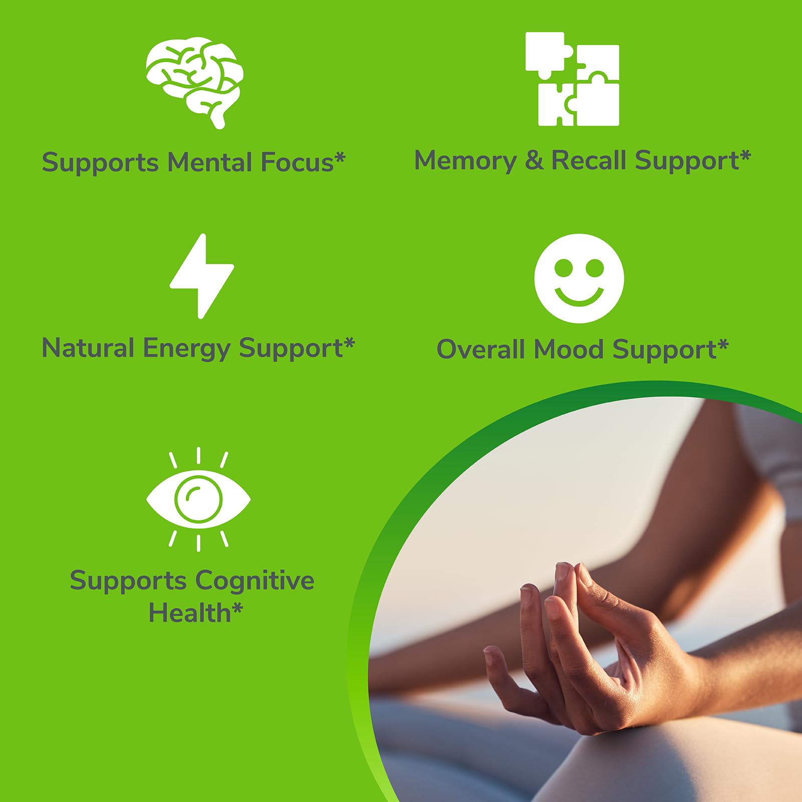 support memory retention ginkgo biloba