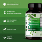 support mental clarity and focus