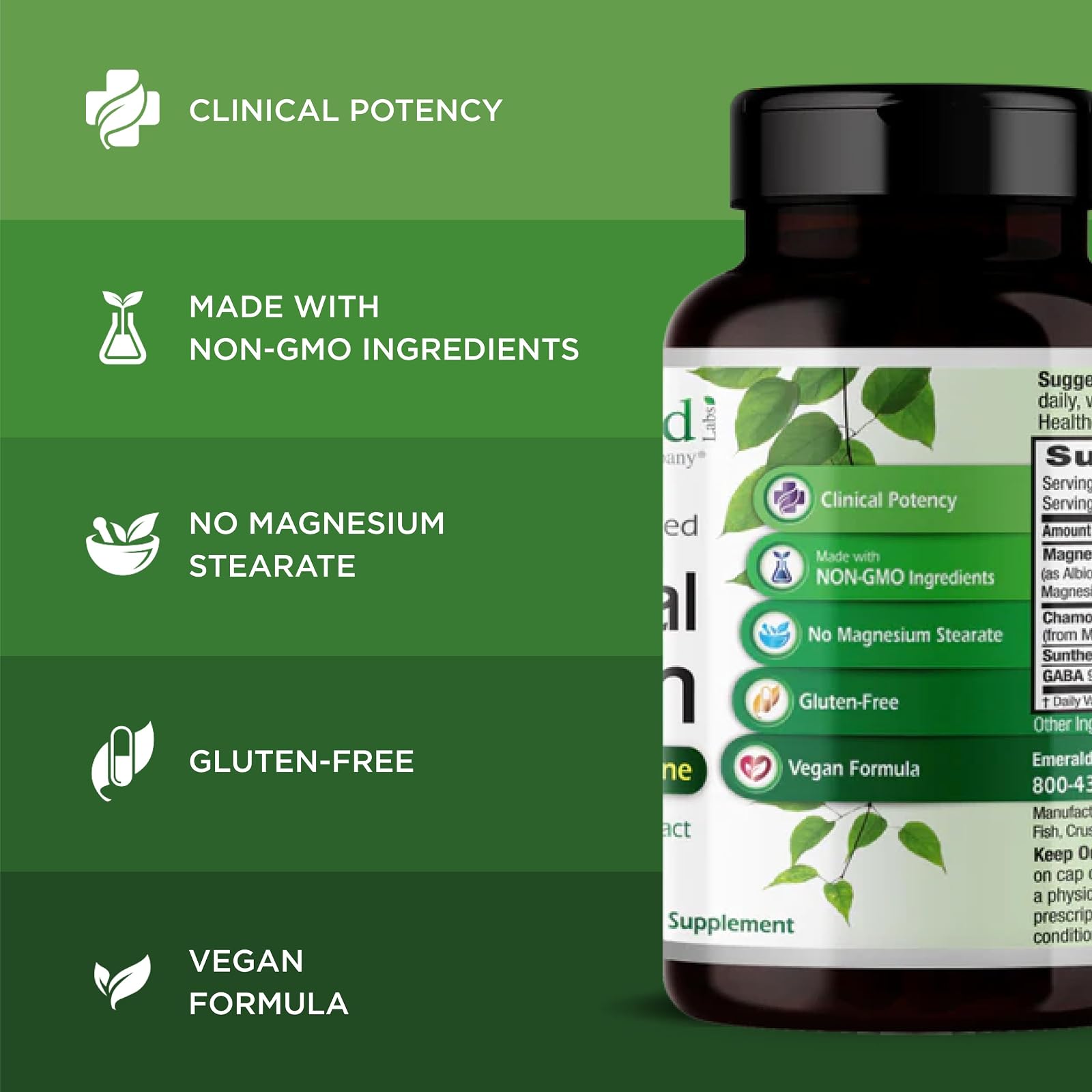 support mental clarity and focus