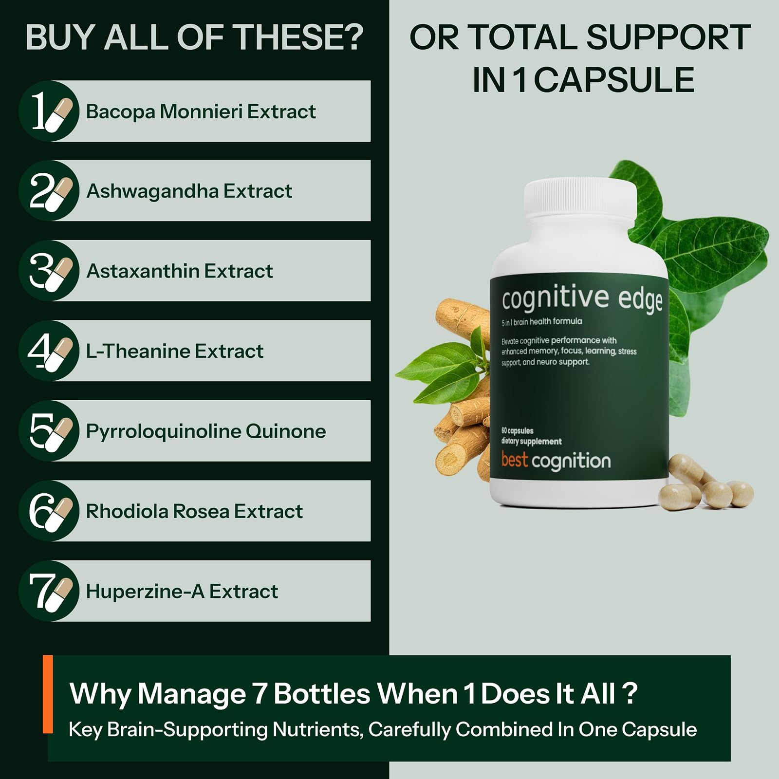 support mental clarity and focus
