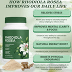 support mental clarity Rhodiola capsules