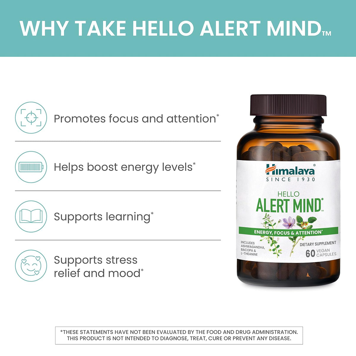 support mental clarity vitamin b