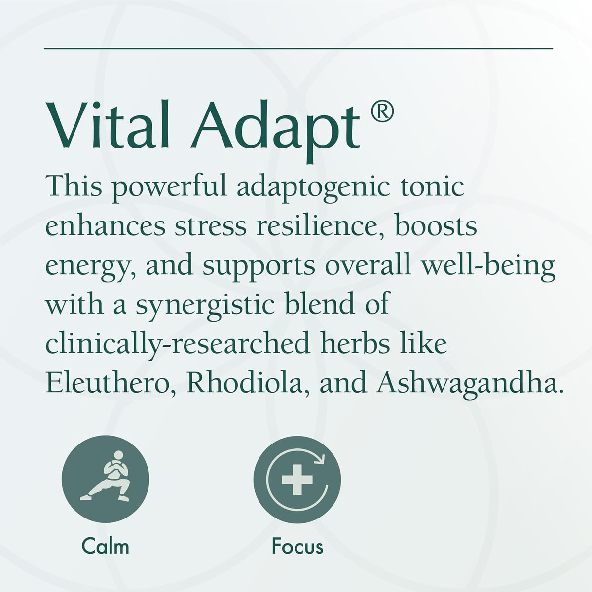 Support mental clarity with adaptogens