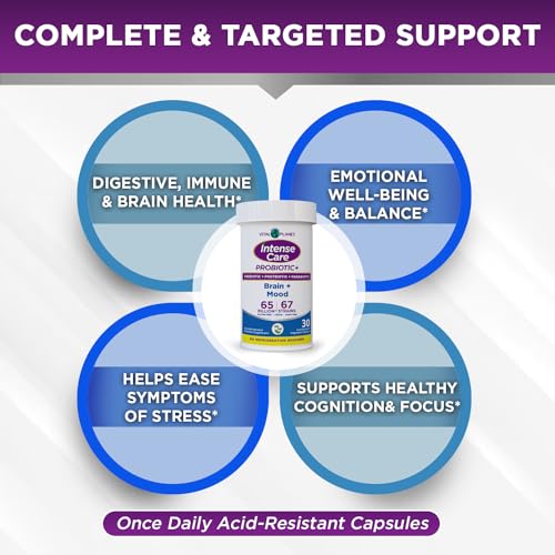 support mental clarity with probiotics