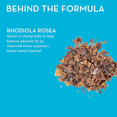 support mental clarity with Rhodiola
