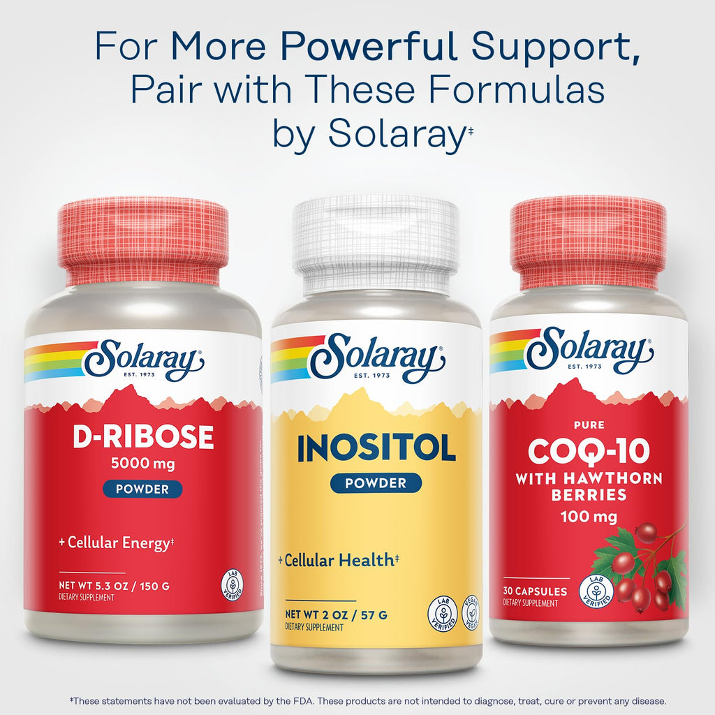support mental clarity with vitamin b