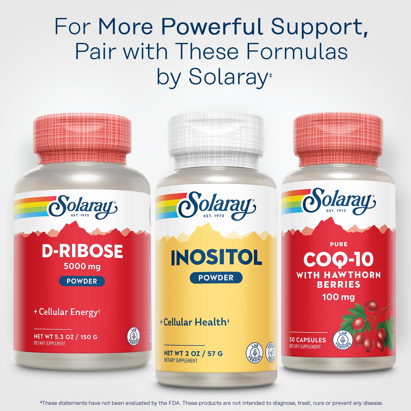 support mental clarity with vitamin b