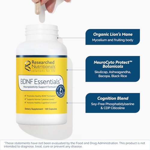 support mental performance naturally