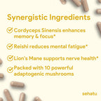 support mental performance with vitamins