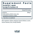 support metabolic function with berberine