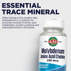 Support metabolic function with Molybdenum