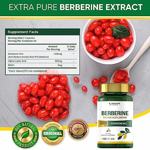 Support metabolic health with berberine