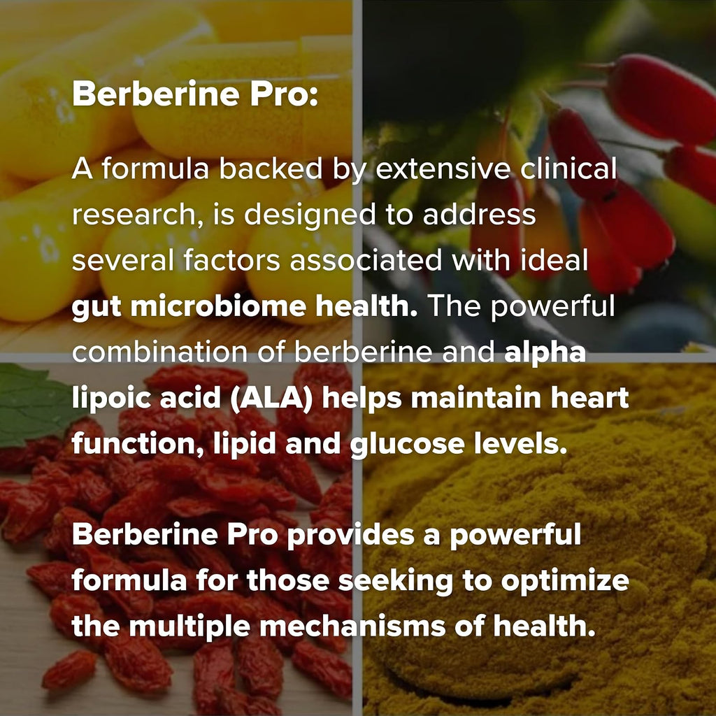 support metabolic health with berberine