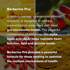 support metabolic health with berberine