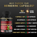 support metabolic health with berberine