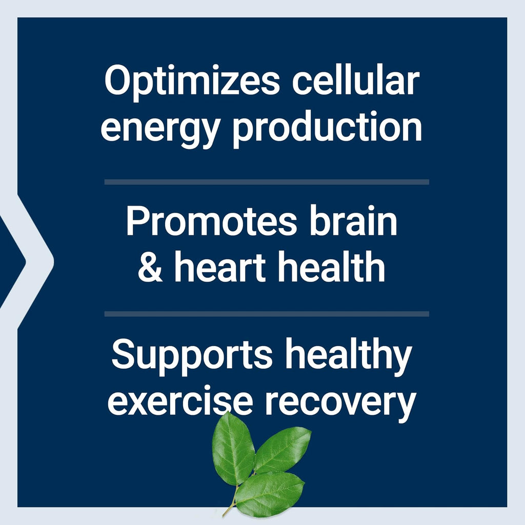 support metabolism with acetyl l-carnitine