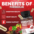 support metabolism with Forskolin